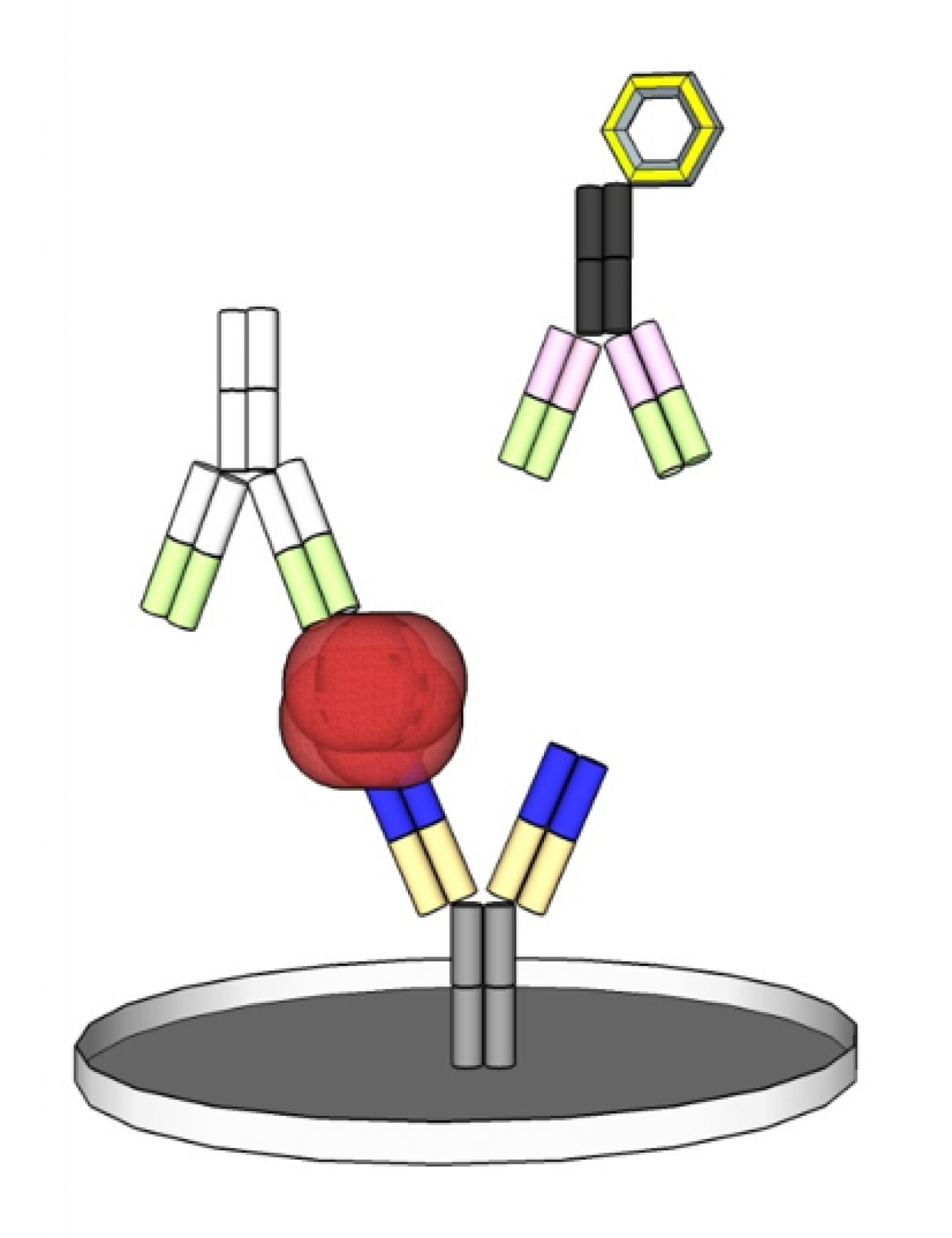 IVD Development - in.vent Diagnostica