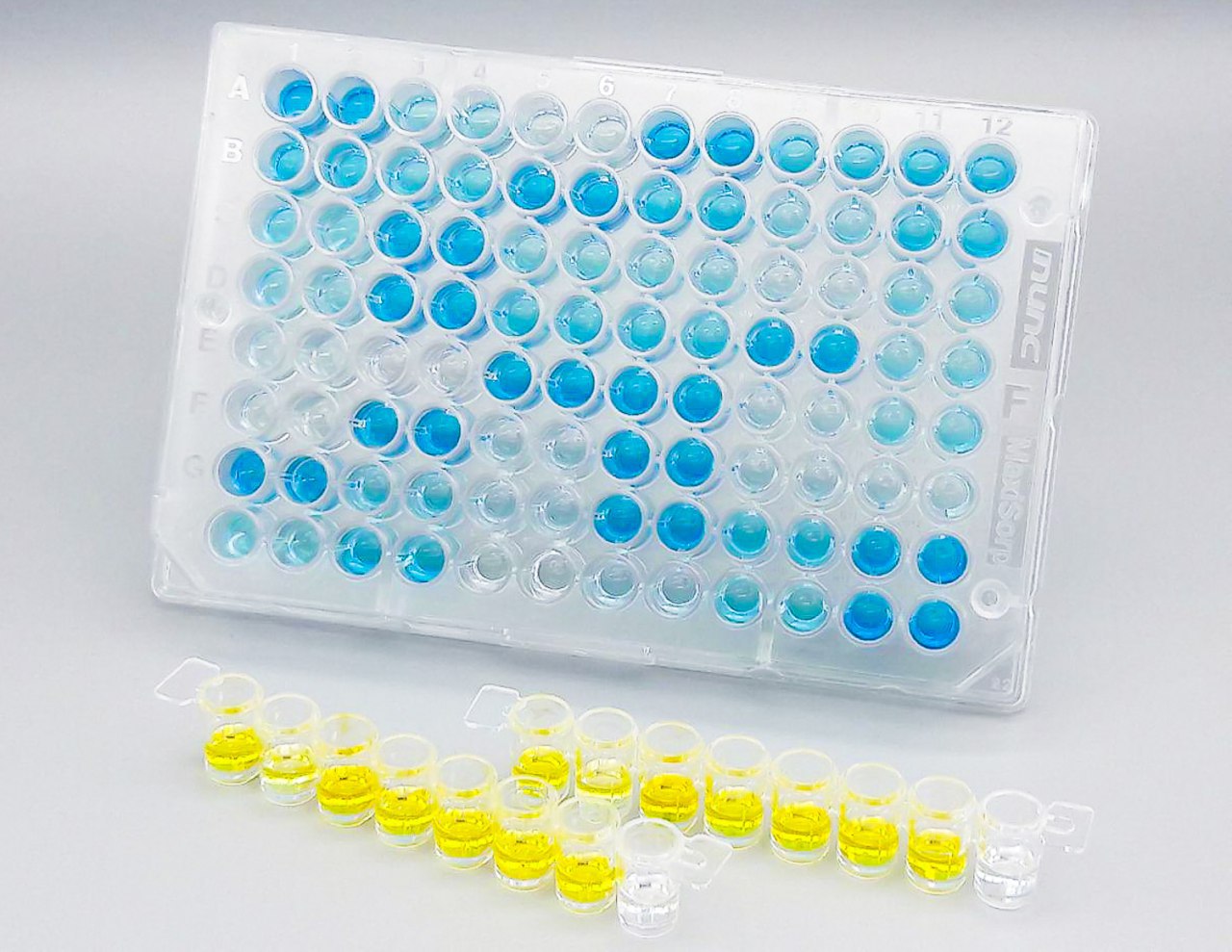 Starter Kits & Assay Development by in.vent - in.vent Diagnostica