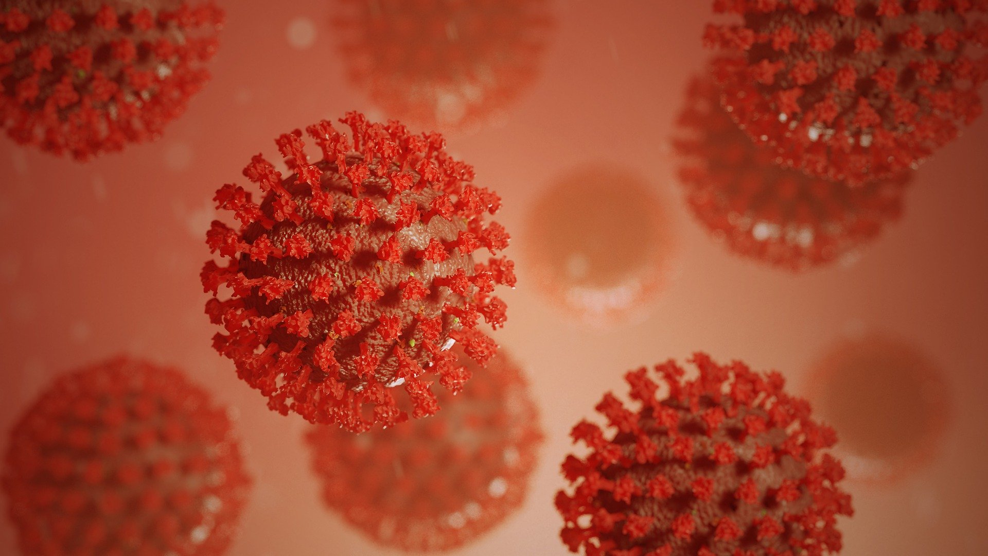 SARS-CoV-2 Distinction Panel & more Infectious Diseases Panels - in ...